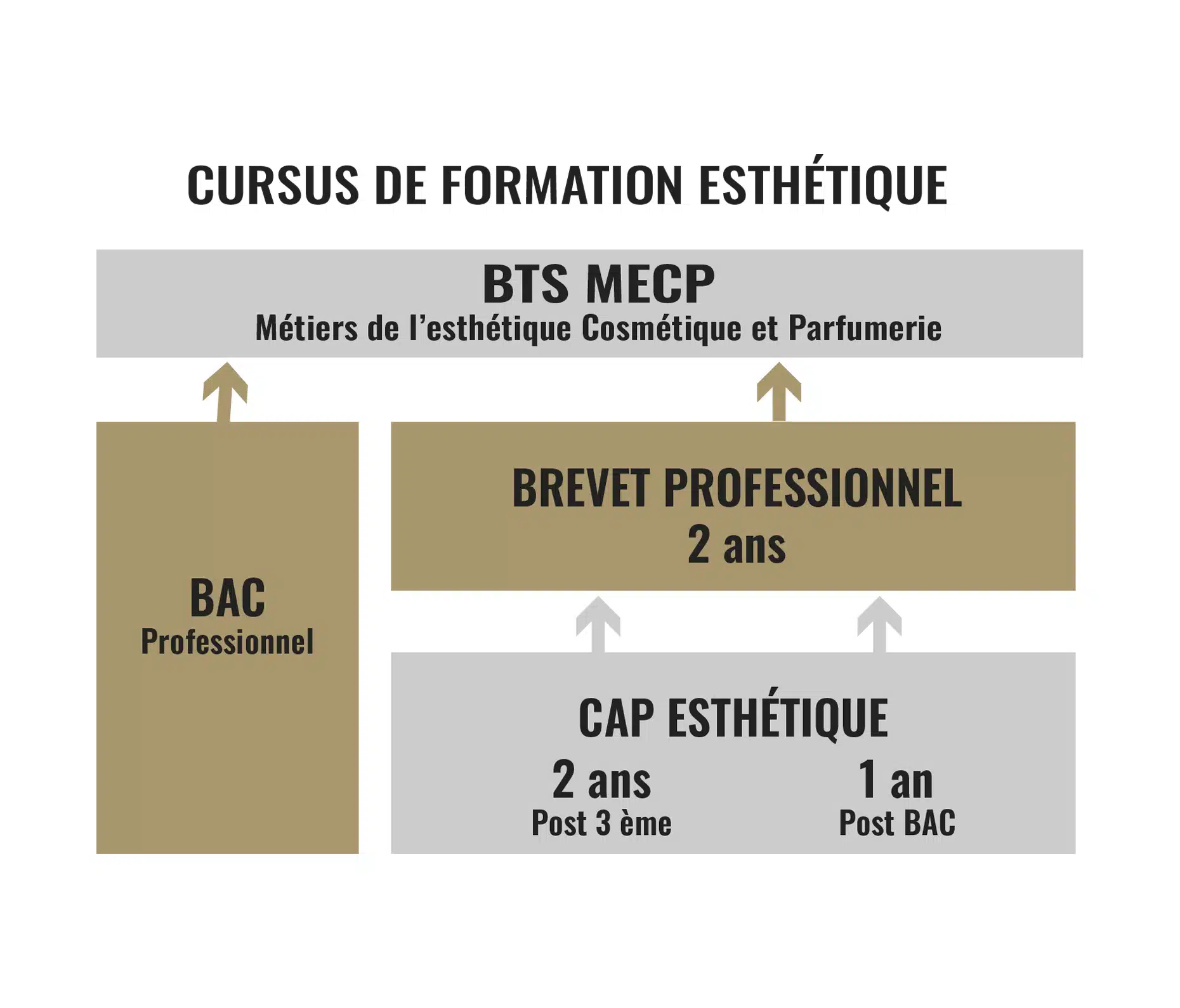 LES FORMATIONS DU CFA – CFA Coiffure esthétique LES FORMATIONS DU CFA – CFA Coiffure esthétique